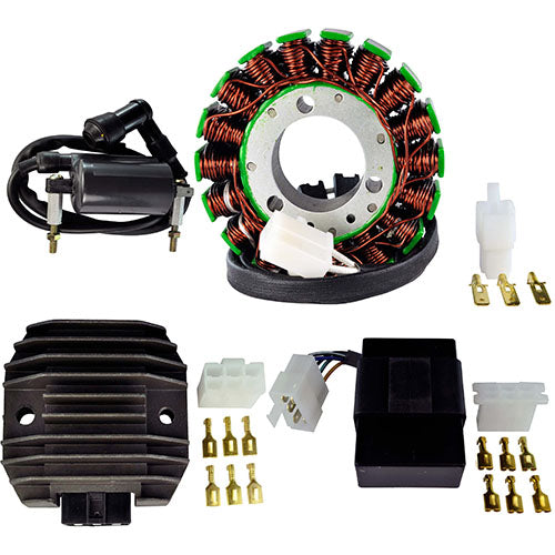 RMSTATOR RM22411 Stator Kit with Voltage Regulator, CDI Box, and Exter ...